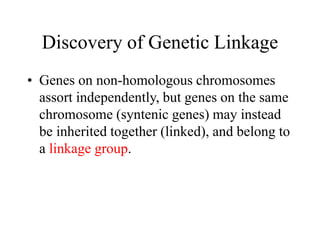 Genetic linkage | PPT
