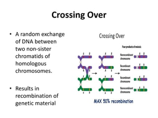 Genetic linkage and crossing over | PPTX