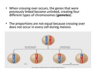 Genetic Linkage Diagram