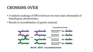 Genetic linkage and crossing over | PPT