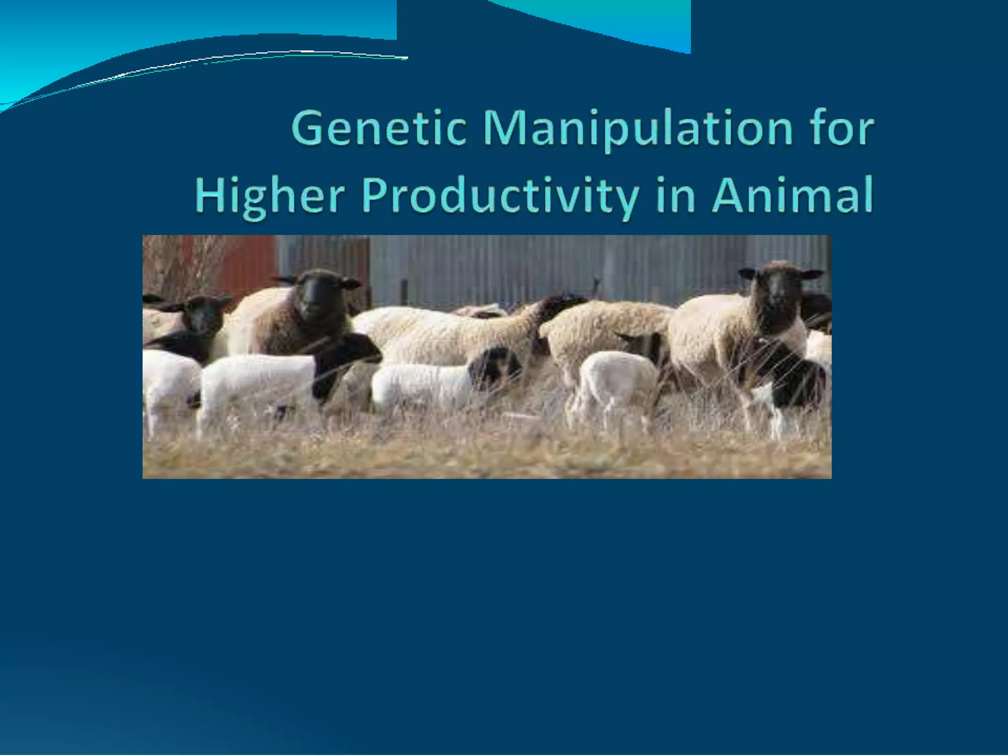 Genetic manipulation of animals.pptx