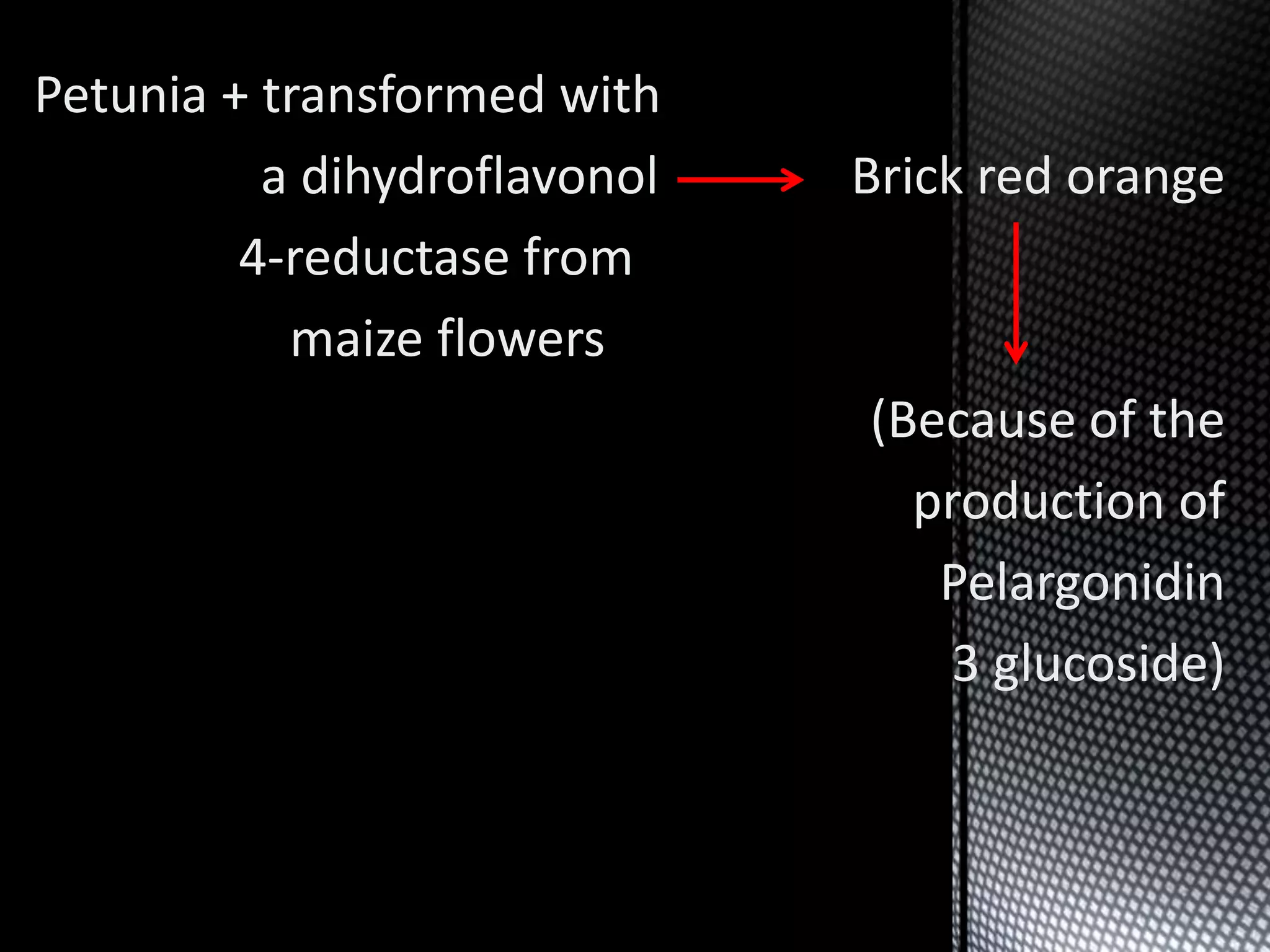 modification of flower pigmentation & nutritional content ppt for ...