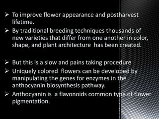 modification of flower pigmentation & nutritional content ppt for ...