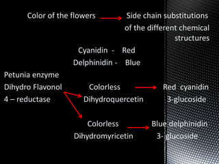 modification of flower pigmentation & nutritional content ppt for ...
