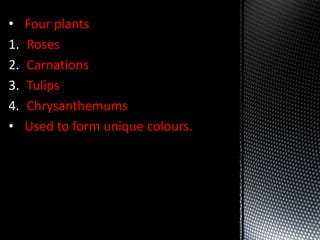 modification of flower pigmentation & nutritional content ppt for ...