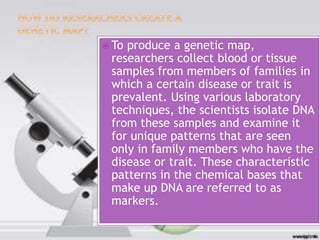 Genetic mapping | PPTX