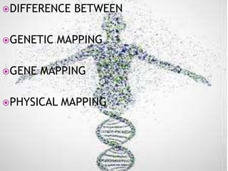 Genetic mapping | PPTX