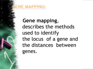 Genetic mapping | PPTX