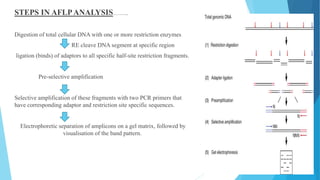 Genetic mapping and sequencing | PPTX