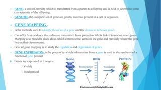 Genetic mapping and sequencing | PPTX