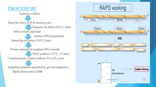 Genetic mapping and sequencing | PPTX