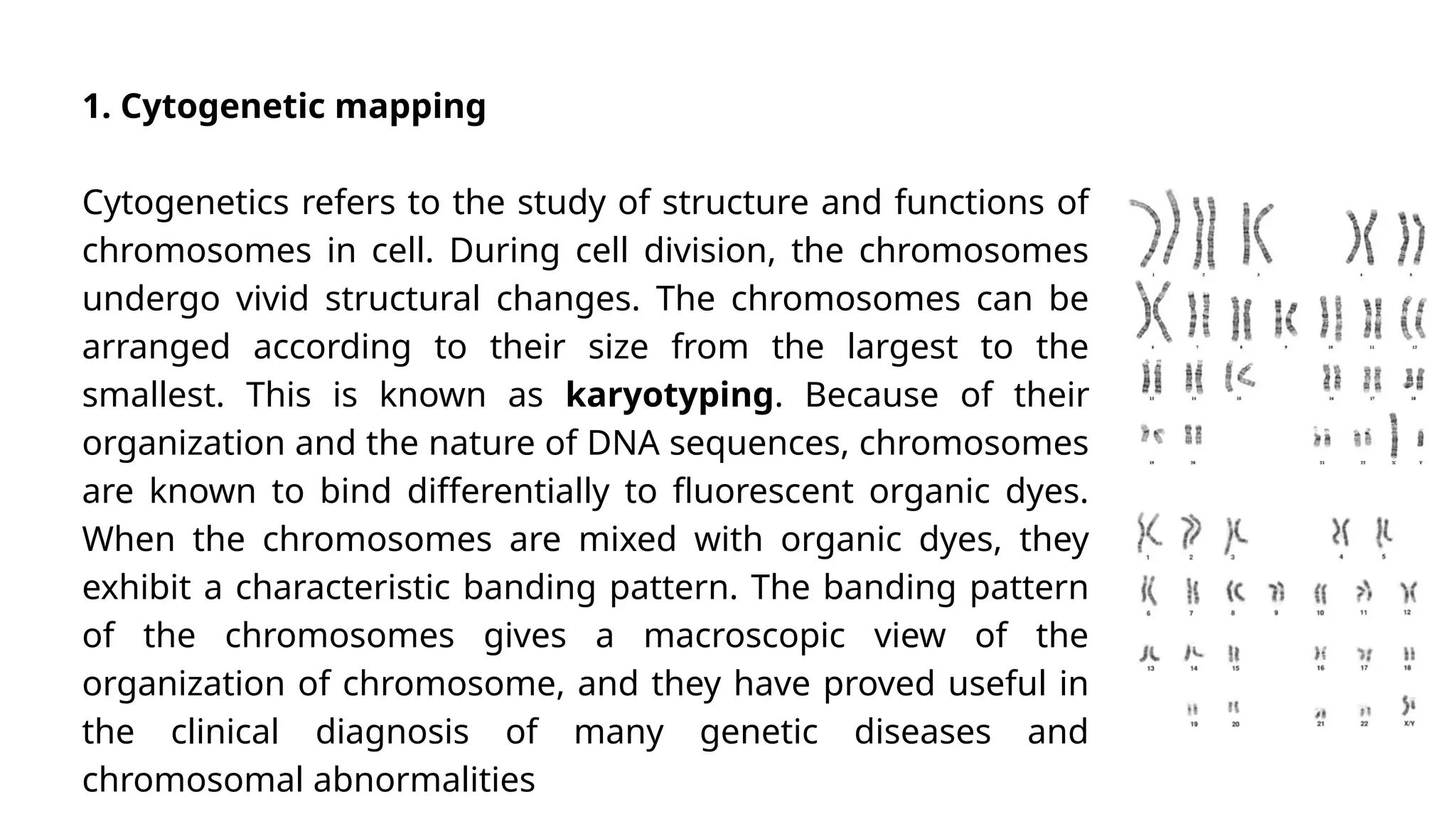 Genetic Mapping in Humans presentation.pptx