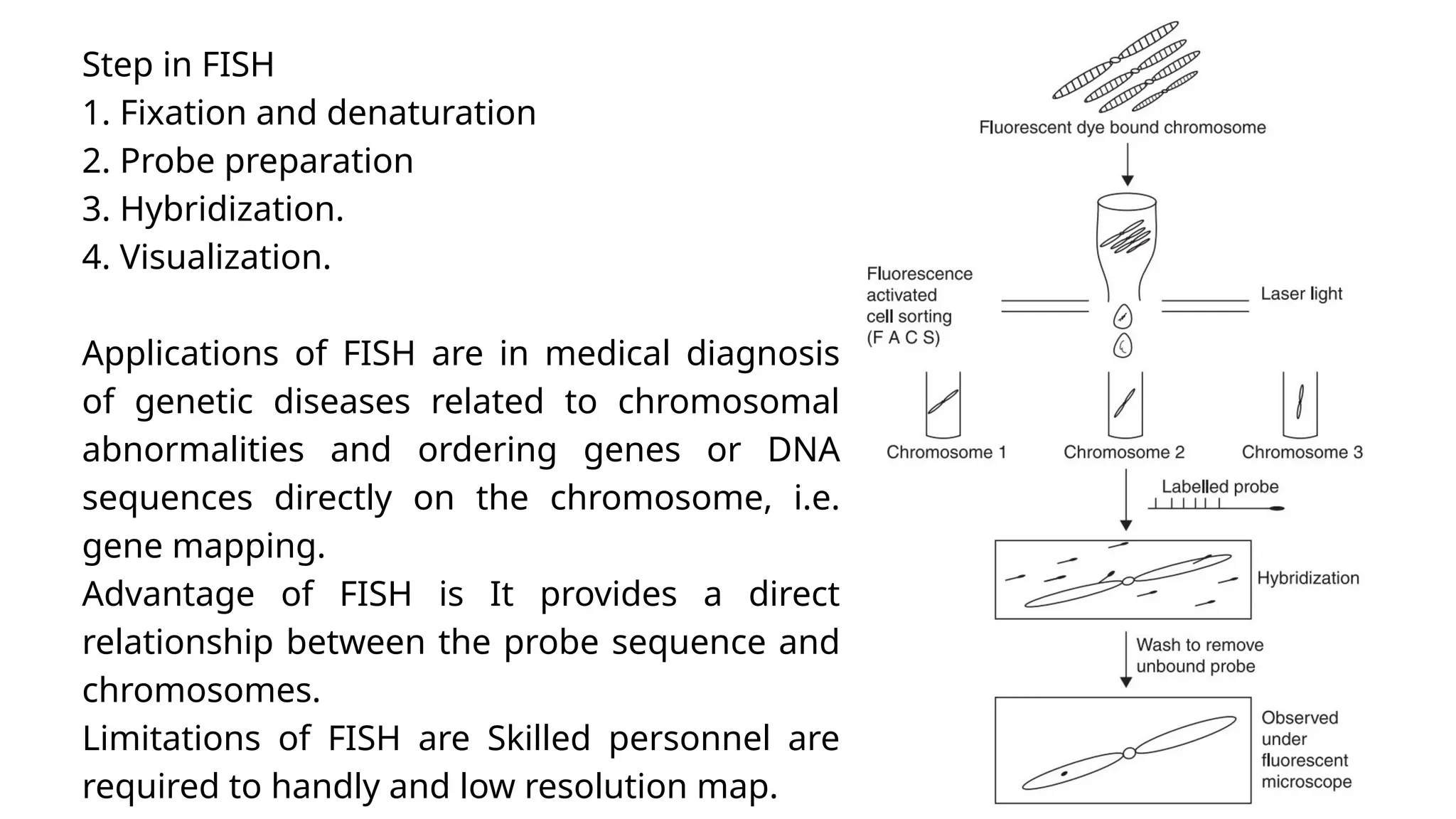 Genetic Mapping in Humans presentation.pptx