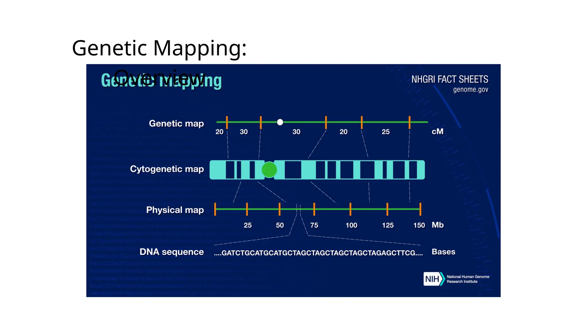 Genetic Mapping in Humans presentation.pptx | Free Download