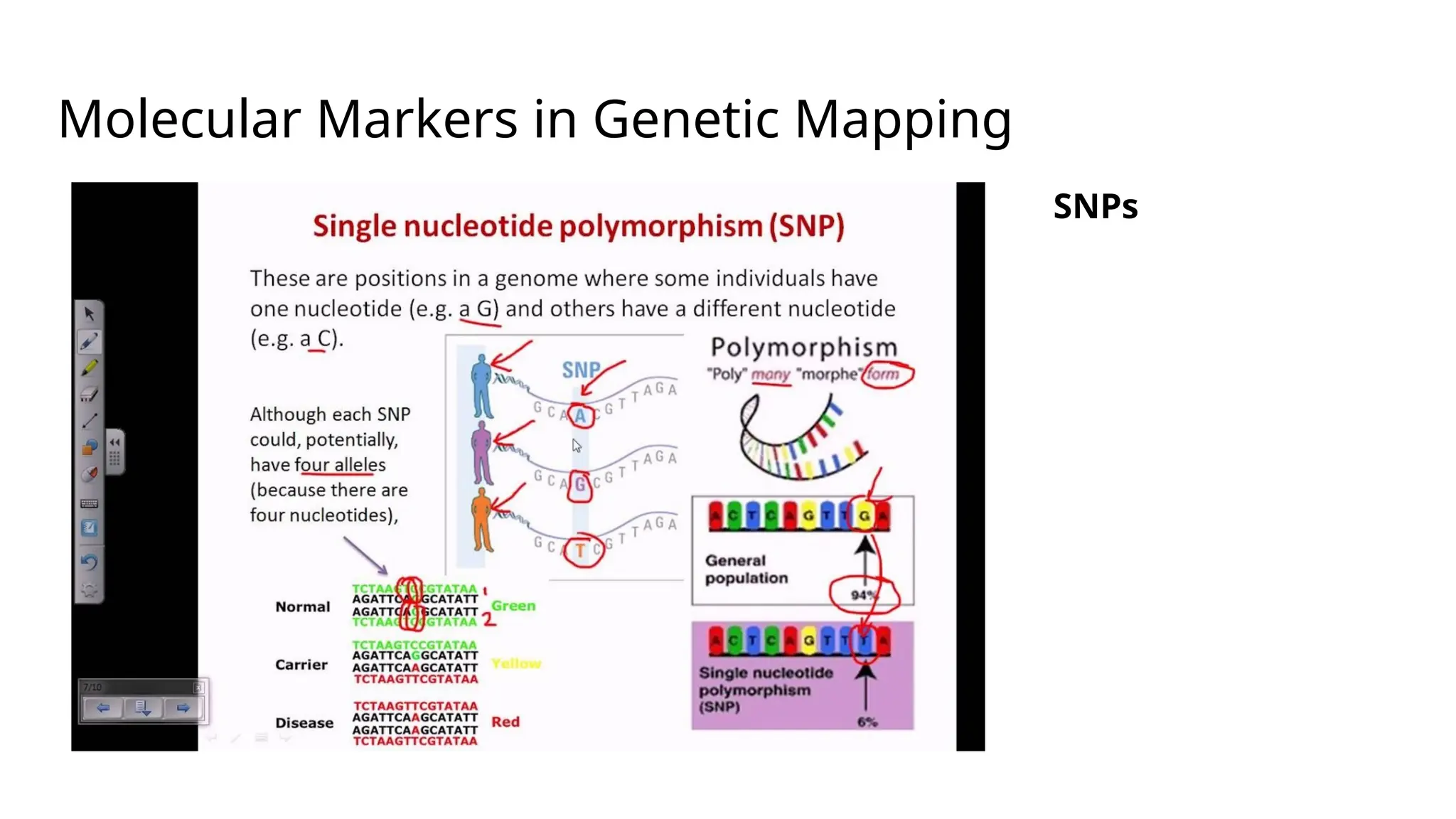 Genetic Mapping in Humans presentation.pptx