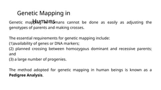 Genetic Mapping in Humans presentation.pptx
