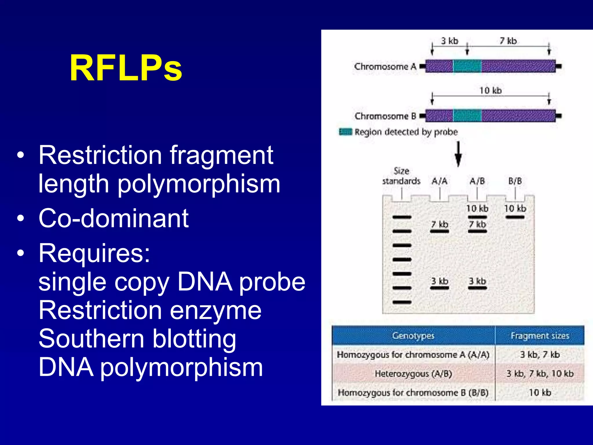 Genetic marker (1) | PPTX