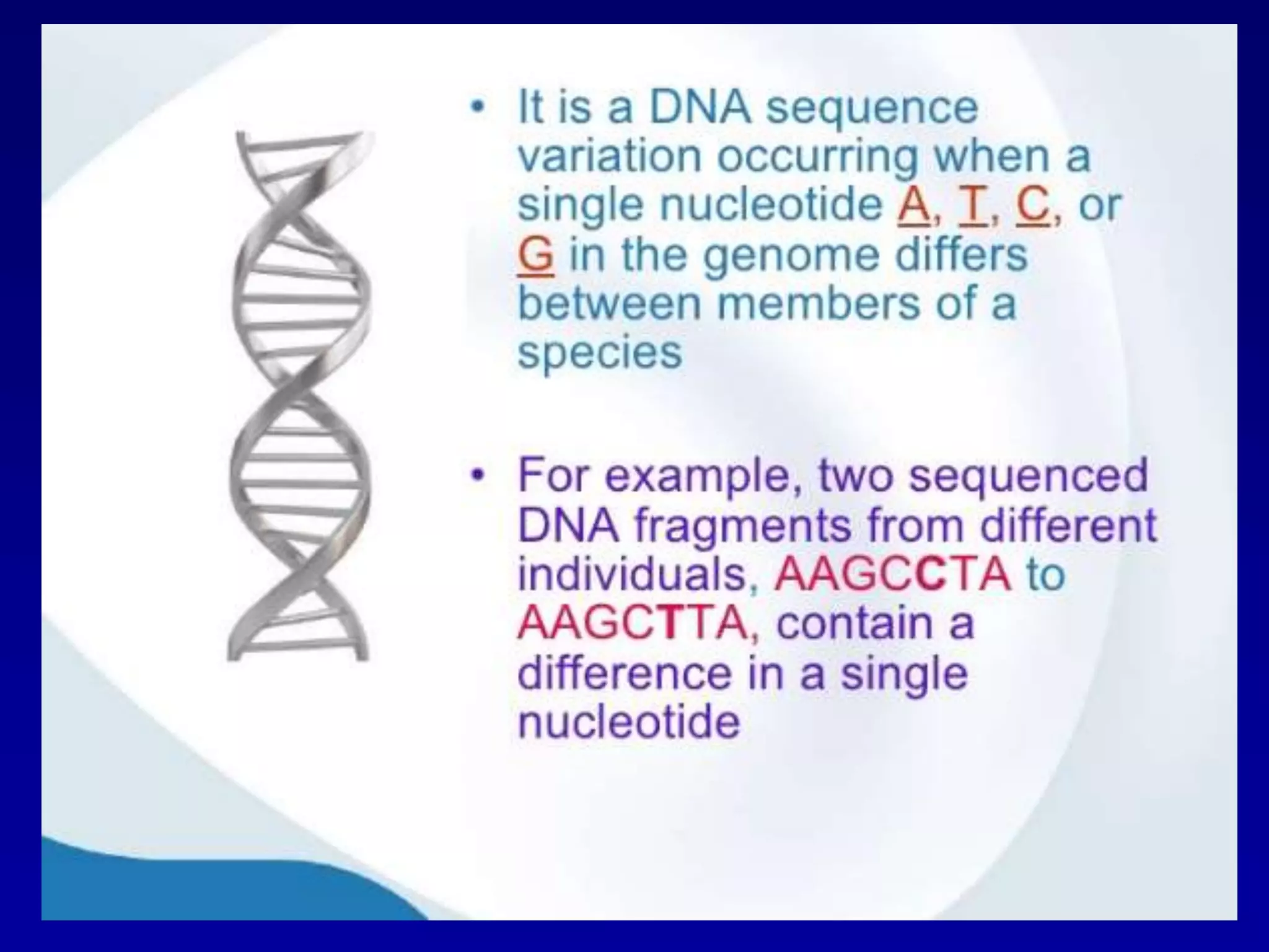 Genetic marker (1) | PPTX