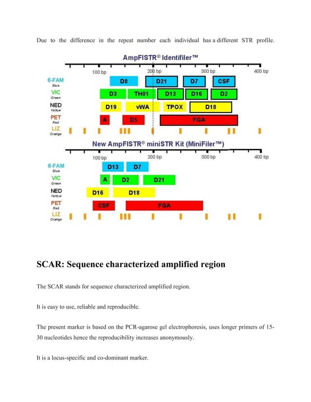 GENE (Genetic )Markers.docx RAPD AFLP RFLP SSSR SNP ESR | PDF