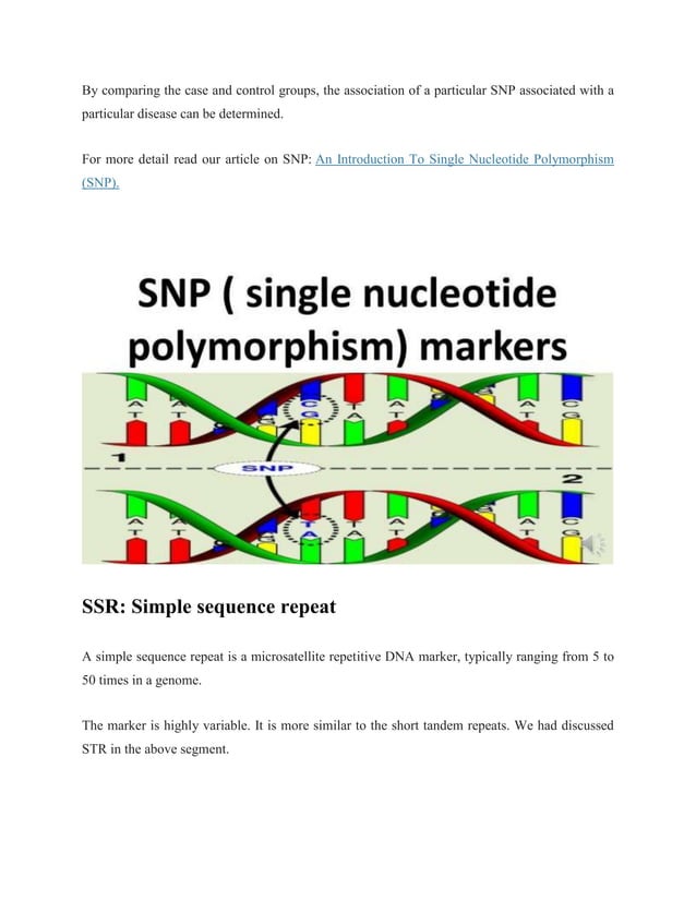 GENE (Genetic )Markers.docx RAPD AFLP RFLP SSSR SNP ESR | PDF