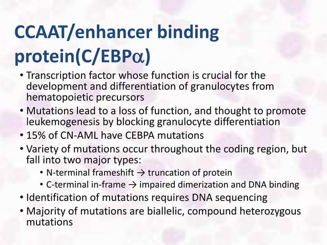 Genetic Markers in AML | PPTX | Blood Disorders | Diseases and Conditions
