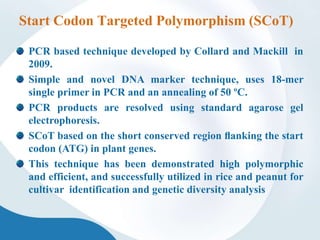 SCoT and RAPD | PPTX