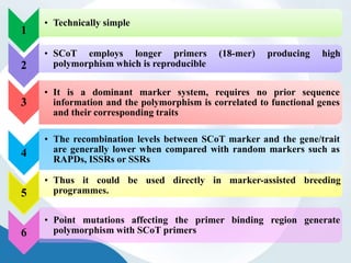 SCoT and RAPD | PPTX