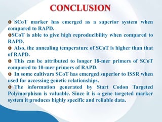 SCoT and RAPD | PPTX