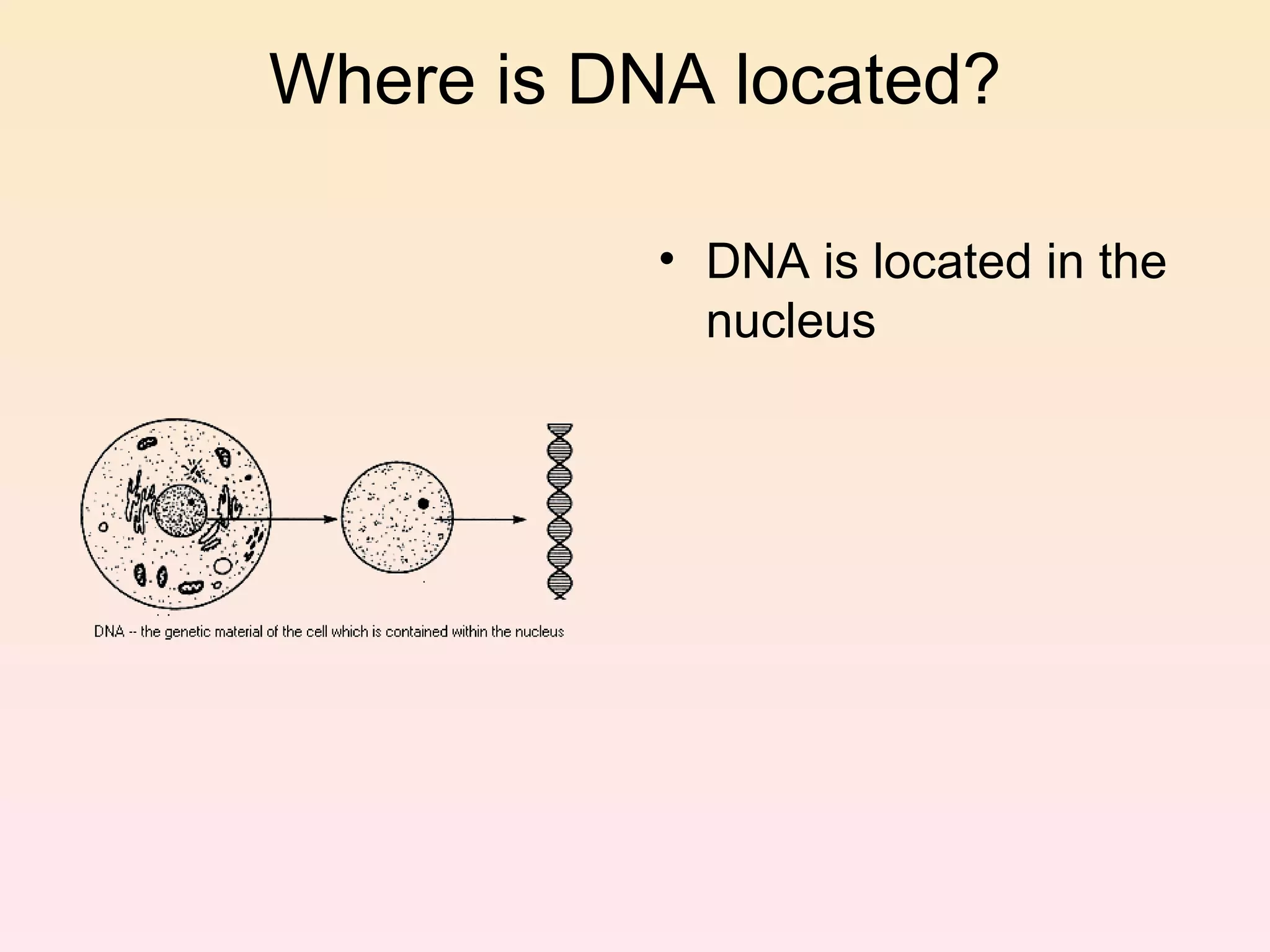 Genetic material | PPT