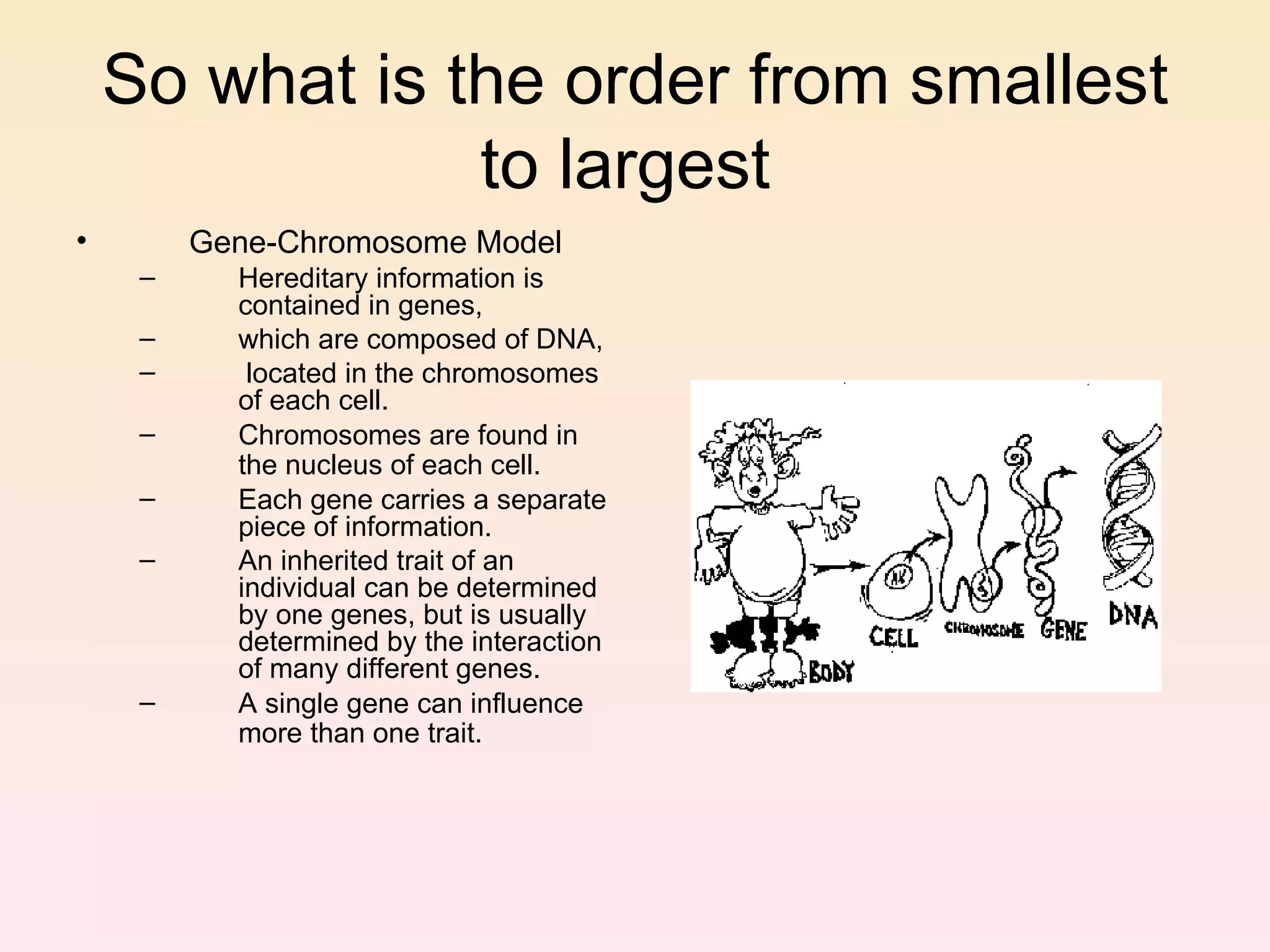 Genetic material | PPT