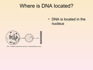 Genetic material | PPT
