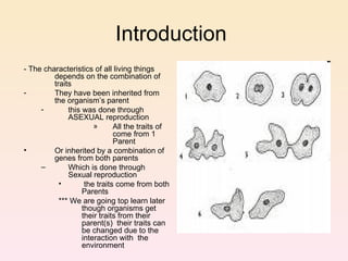 Genetic material | PPT
