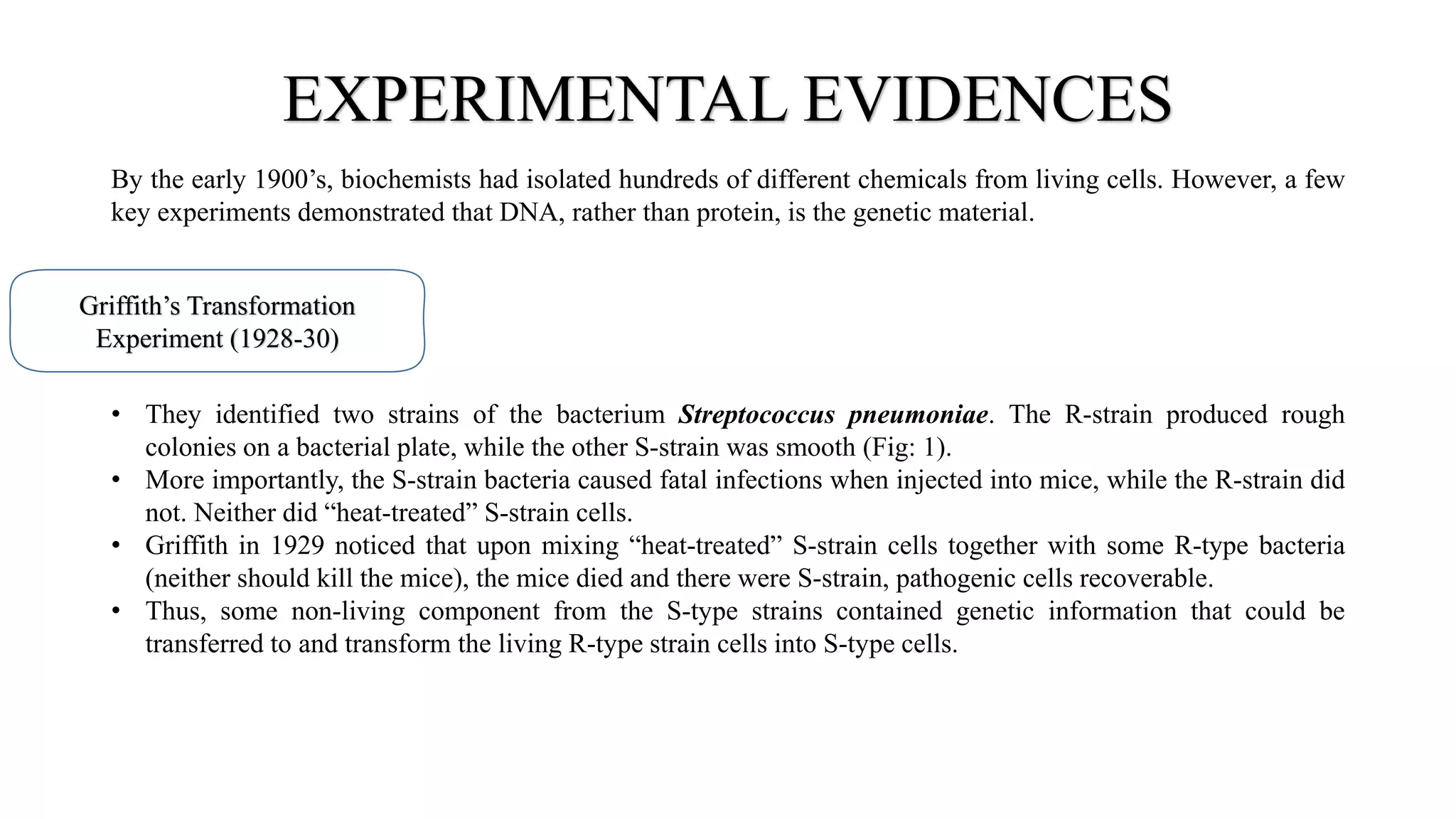 GENETIC MATERIALS.pptx