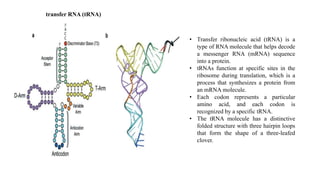 GENETIC MATERIALS.pptx