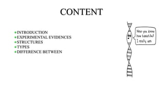 GENETIC MATERIALS.pptx