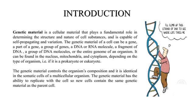 GENETIC MATERIALS.pptx