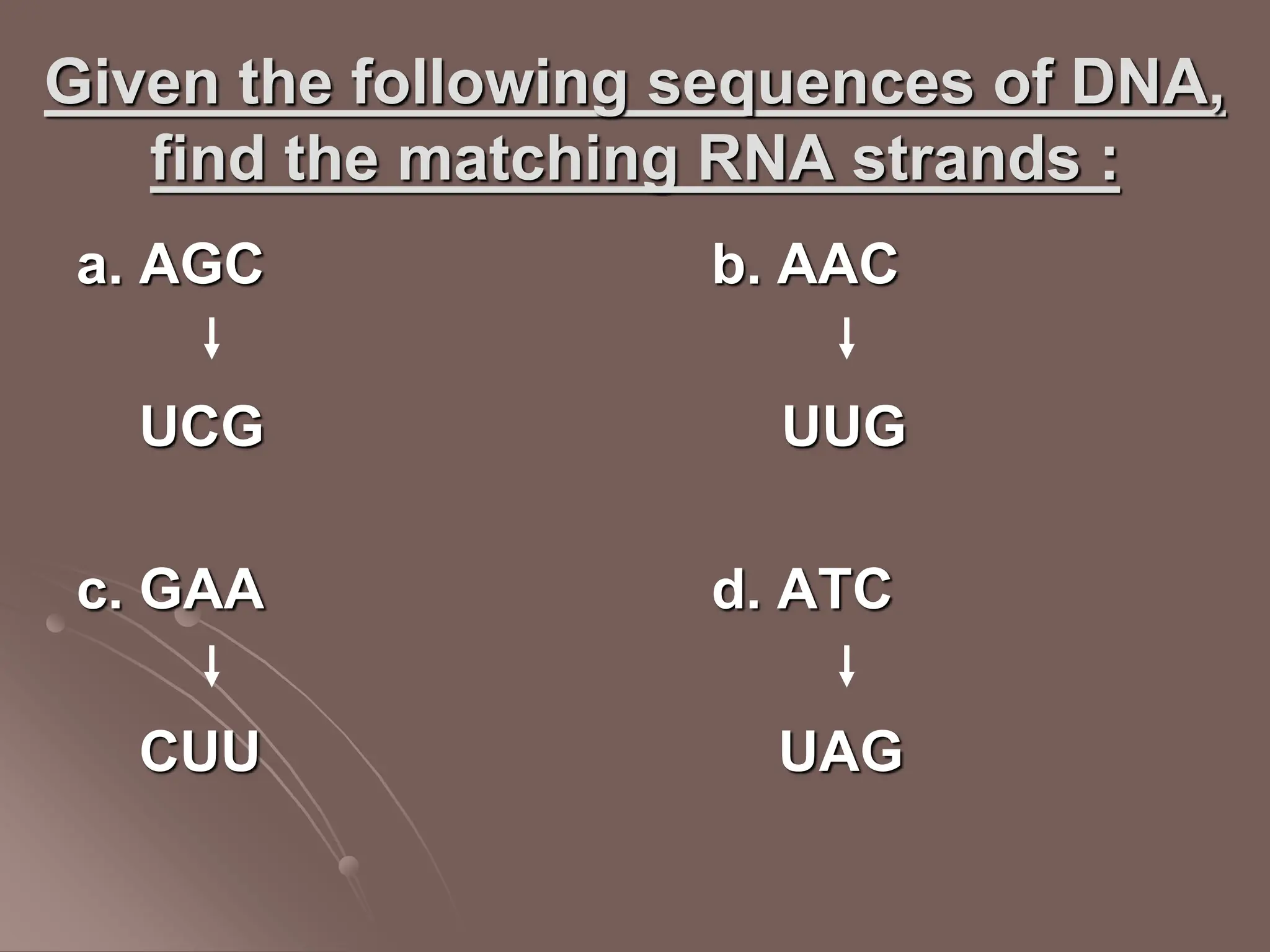 Genetic Material .ppt