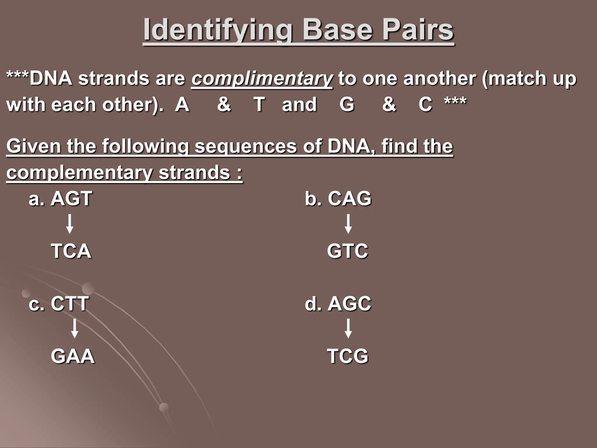 Genetic Material .ppt