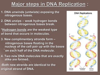 Genetic Material .ppt