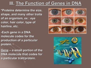 Genetic Material .ppt