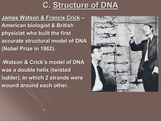 Genetic Material .ppt