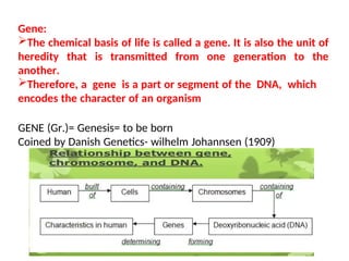 all about genetics and DNA , dna dupliation | PPT