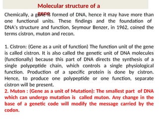 all about genetics and DNA , dna dupliation | PPT
