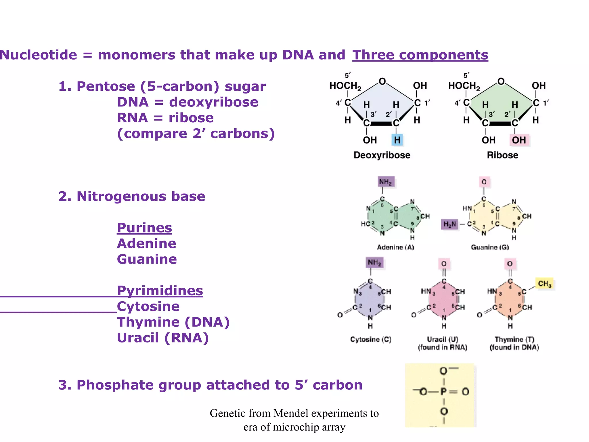 Genetic material early experiments structure of DNA.pdf