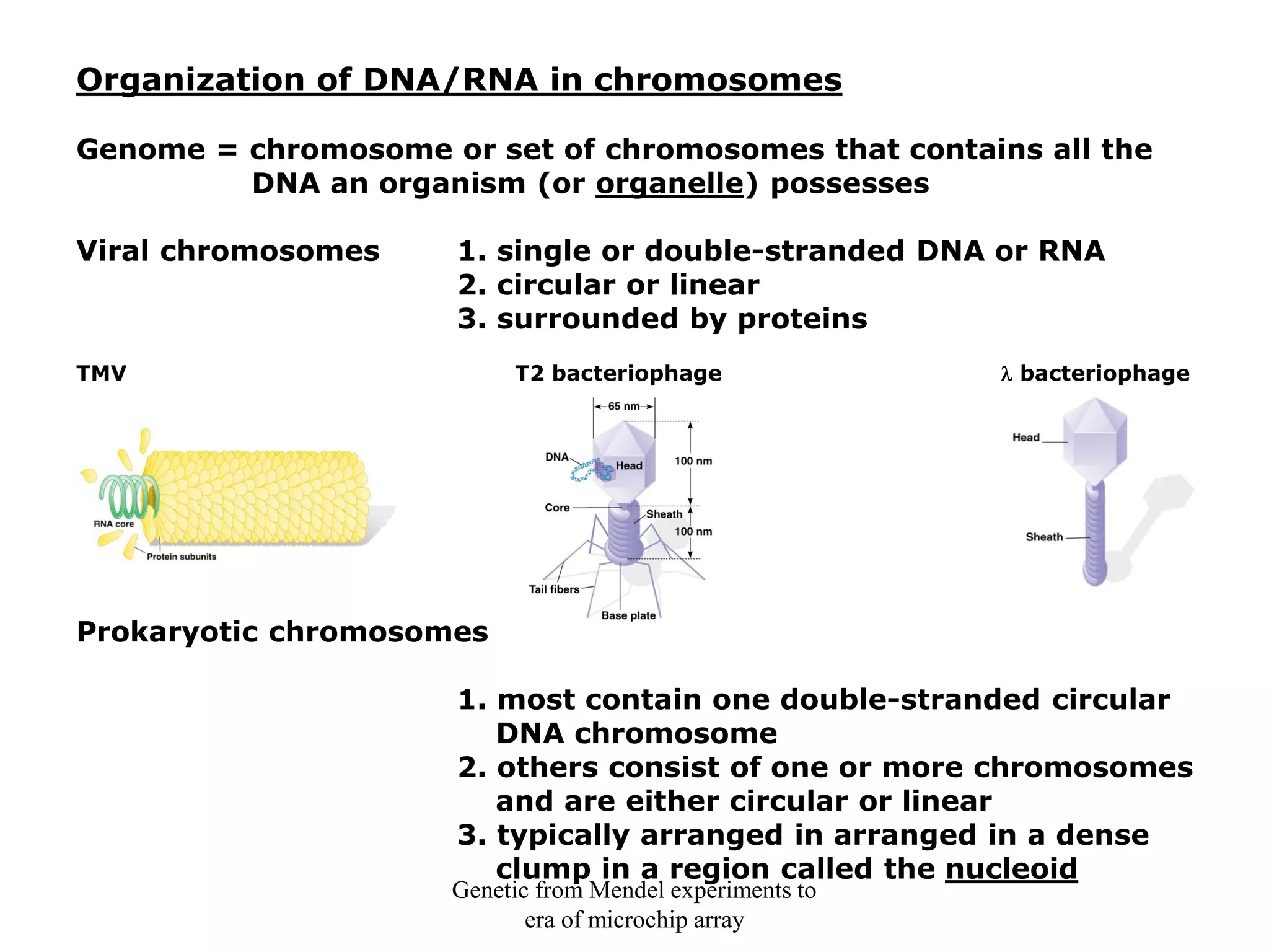 Genetic material early experiments structure of DNA.pdf