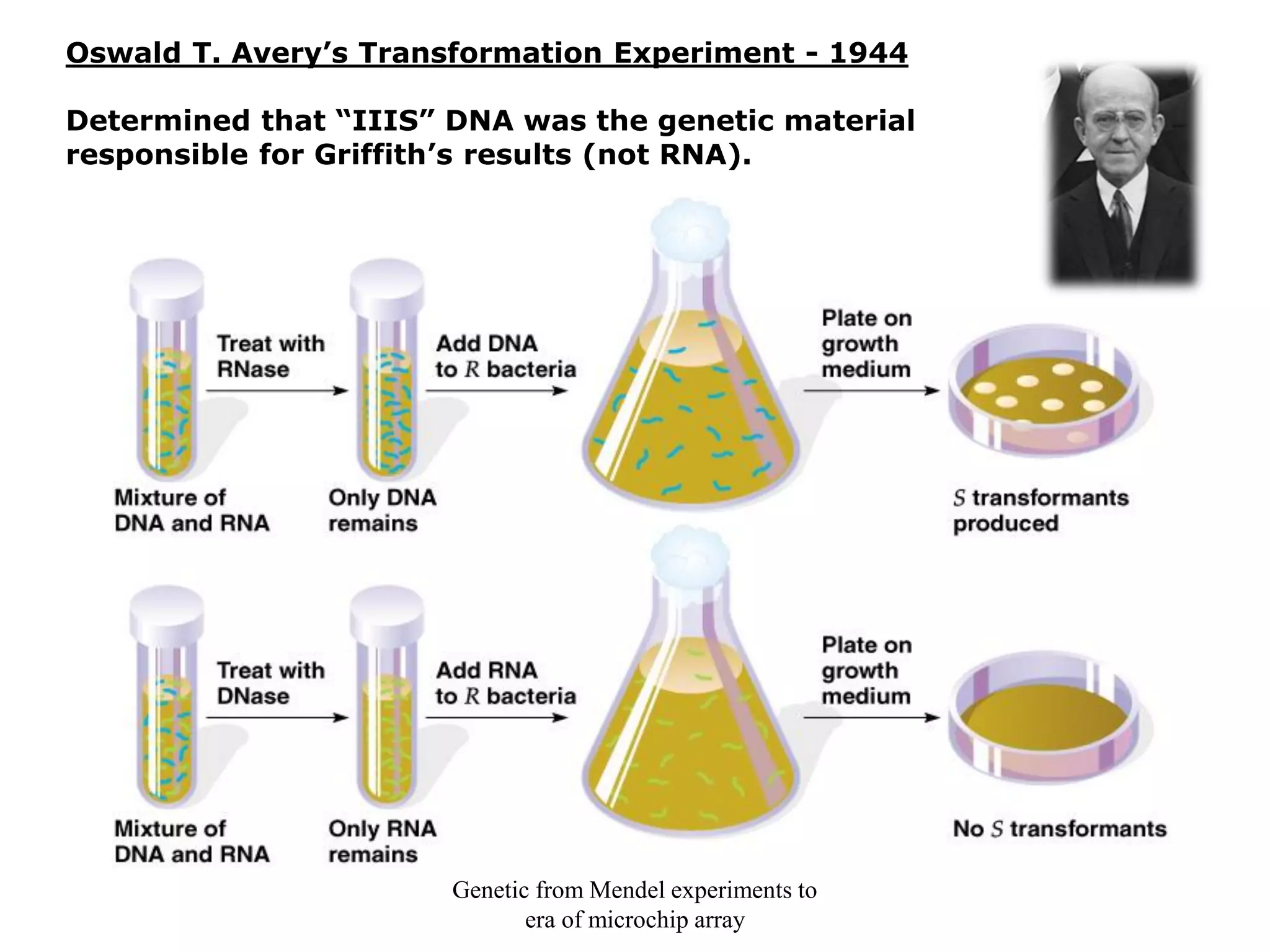 Genetic material early experiments structure of DNA.pdf