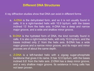 Genetic materials .ppt