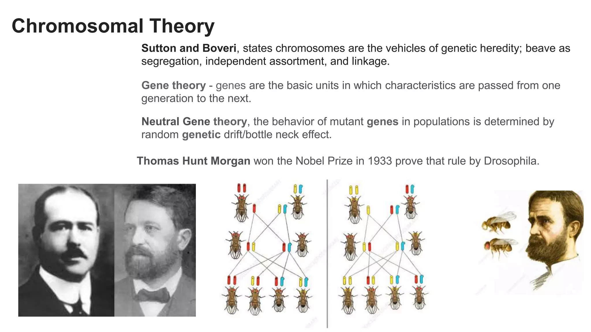 Genetic Competition Exam | PPTX
