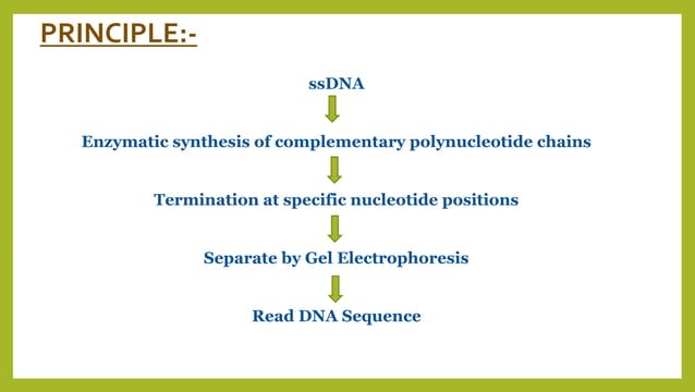 Genetic methods of microbial taxonomy | PPT