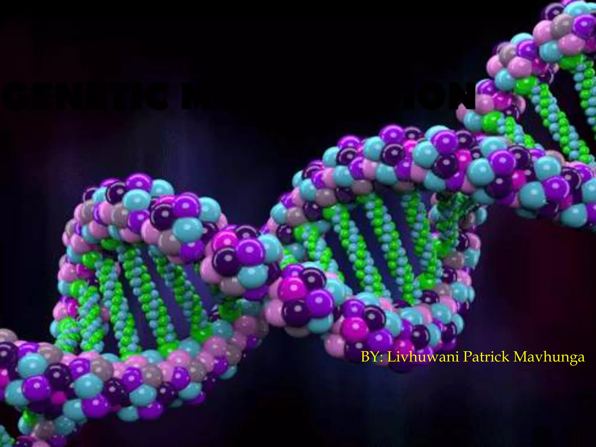 Geneticmodification food and animals | PPT